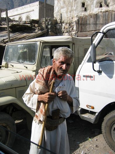 SN 185 - JungleKey.fr Wiki